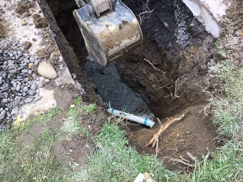 Carl Krasavage & Son Plumbing & HVAC | Swoyersville, PA